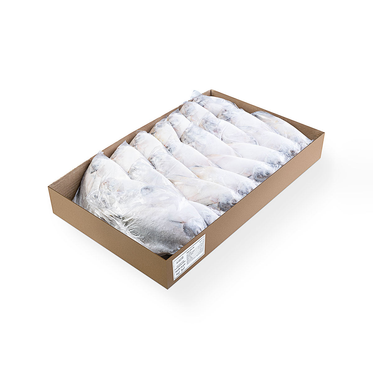 Zubaidi Fish Carton 10kg