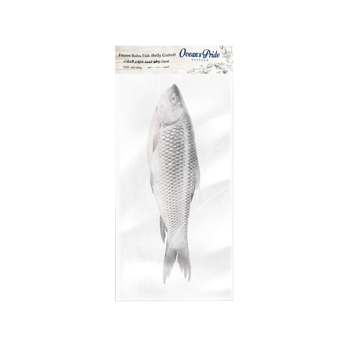 Whole Rohu Fish Carton (800g-1000g) 20Kg
